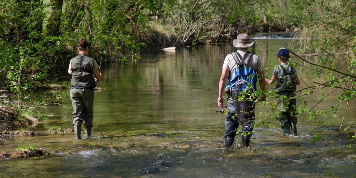 Pêcher en rivière dans le Lot, la Dordogne ou le Célé