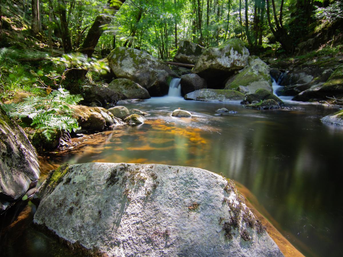 Les ruisseaux et cascades du Ségala dans le Lot