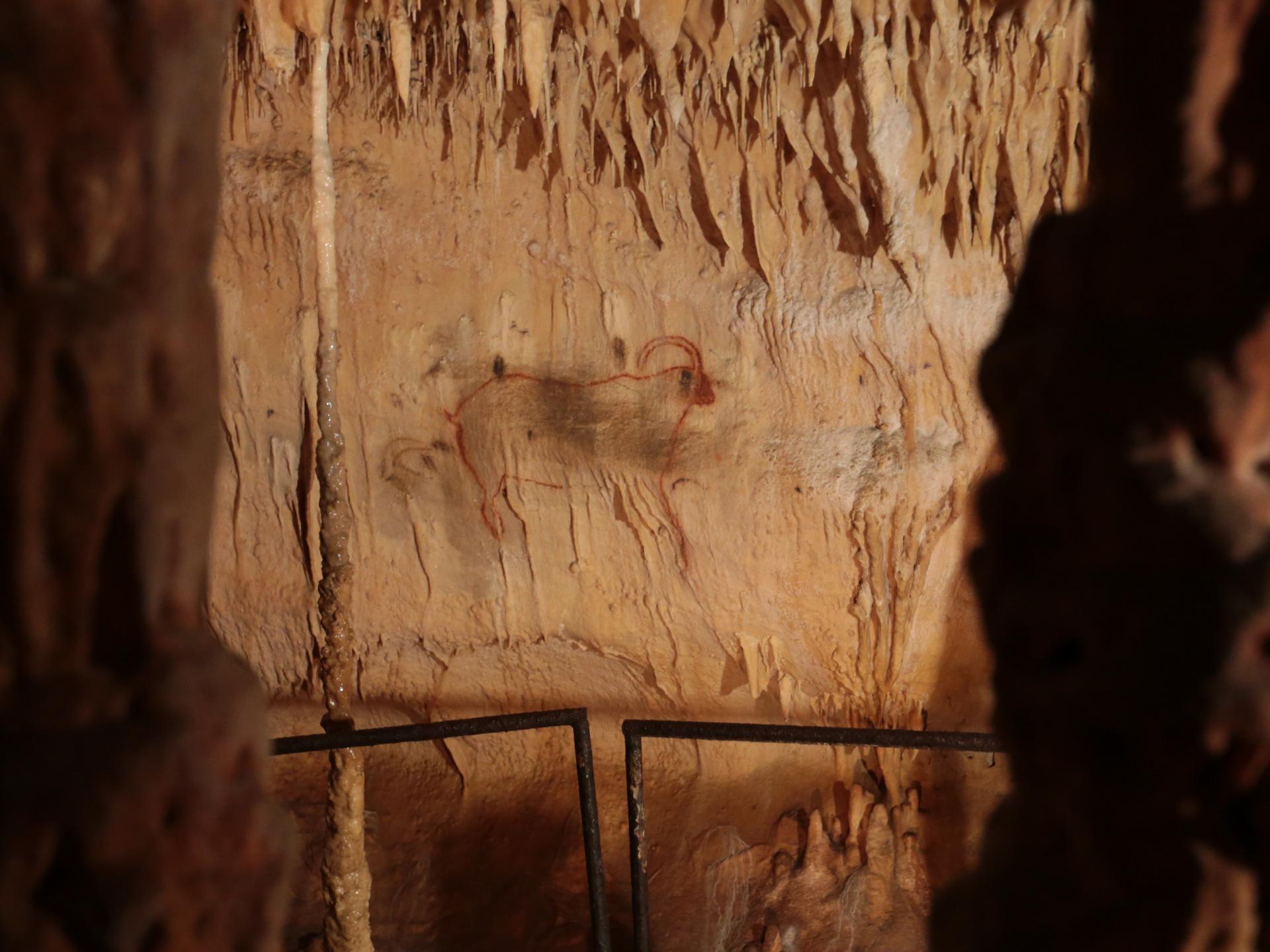 Grottes de Cougnac à Gourdon