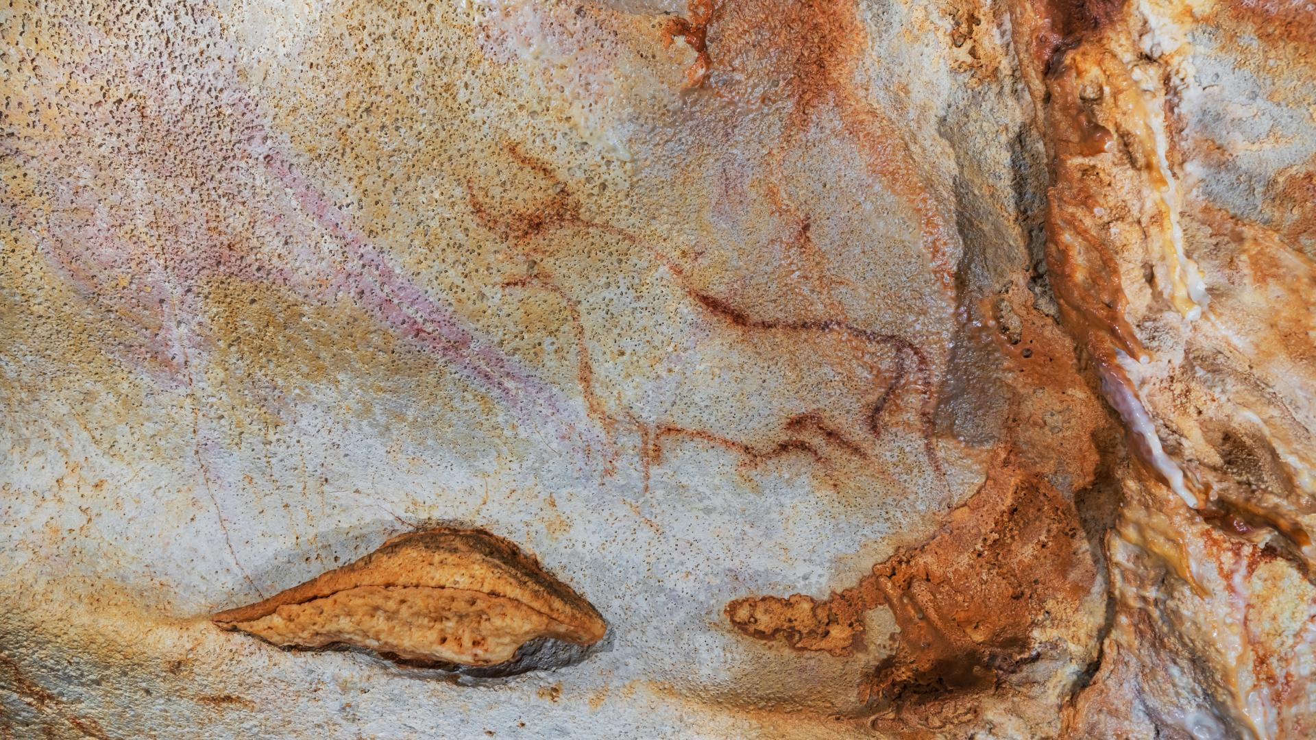 Grotte du Pech Merle à Cabrerets | Tourisme Lot